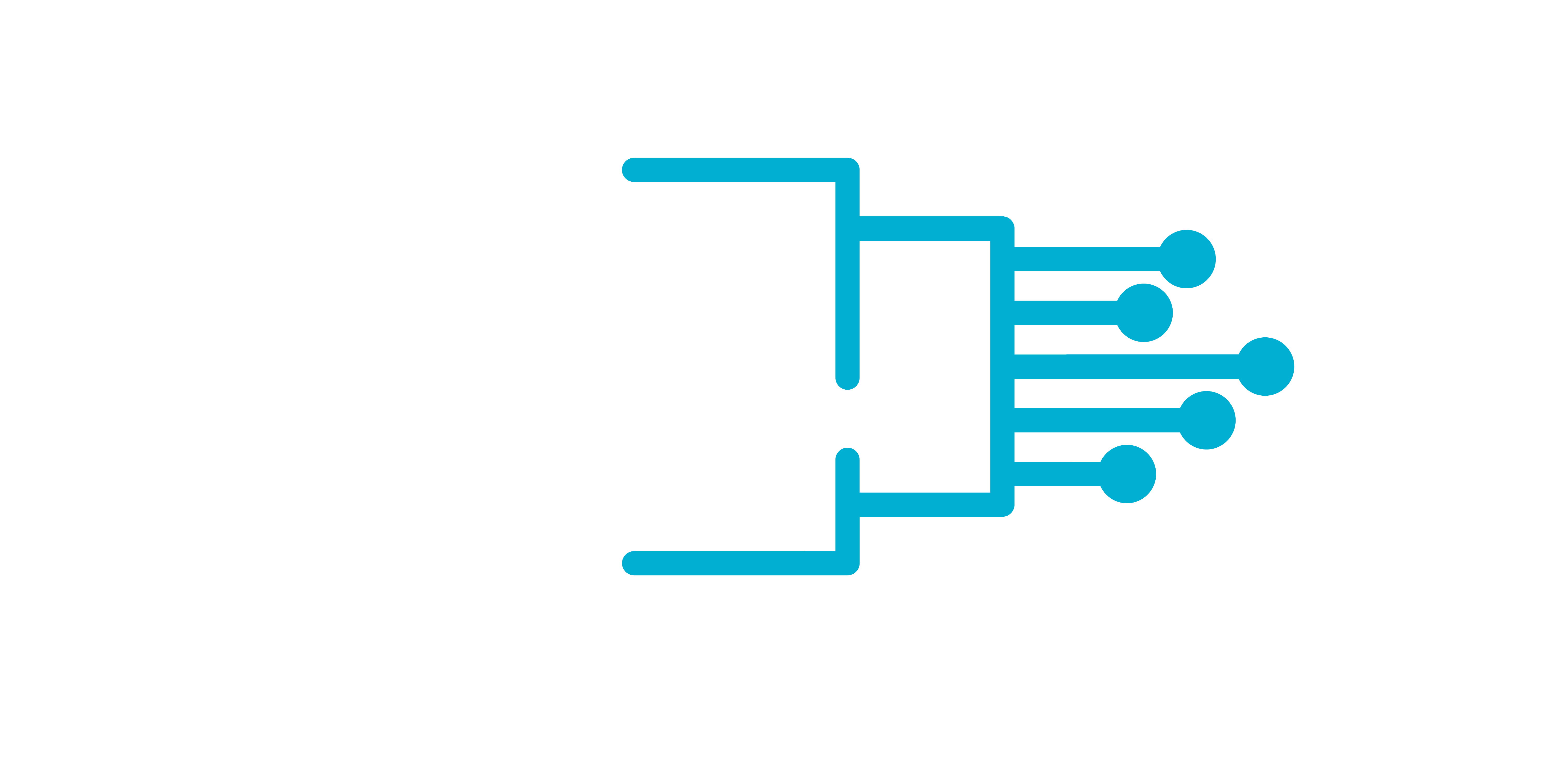 Network Status - RFN | High Speed Fiber